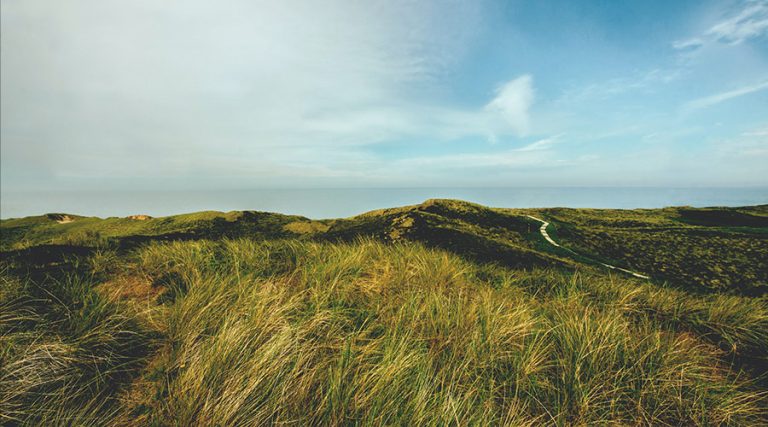 Polite requests in English – Talktips.tv